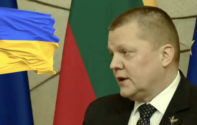 Žaliasis valstietis Gaižauskas ragina nedelsti ir atgrasymui skolintis ...